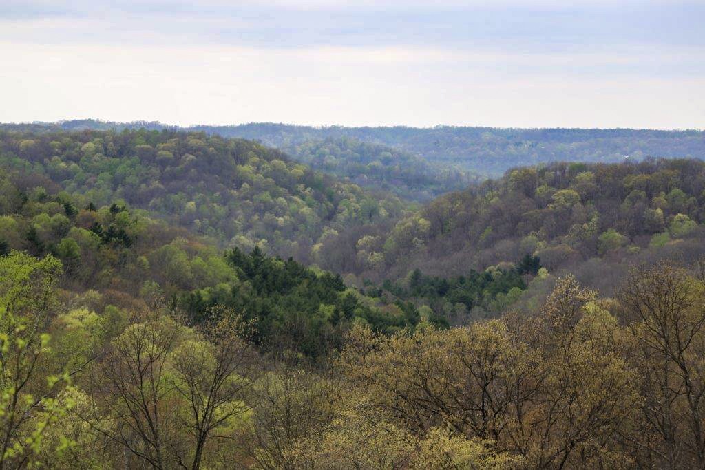 Founding Father’s Legacy Revisited at Wayne National Forest in Ohio ...